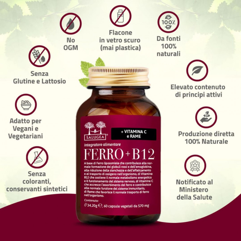 SALUGEA FERRO + B12 INTEGRATORE FERRO CON VITAMINA B12 E C 60CPS ...